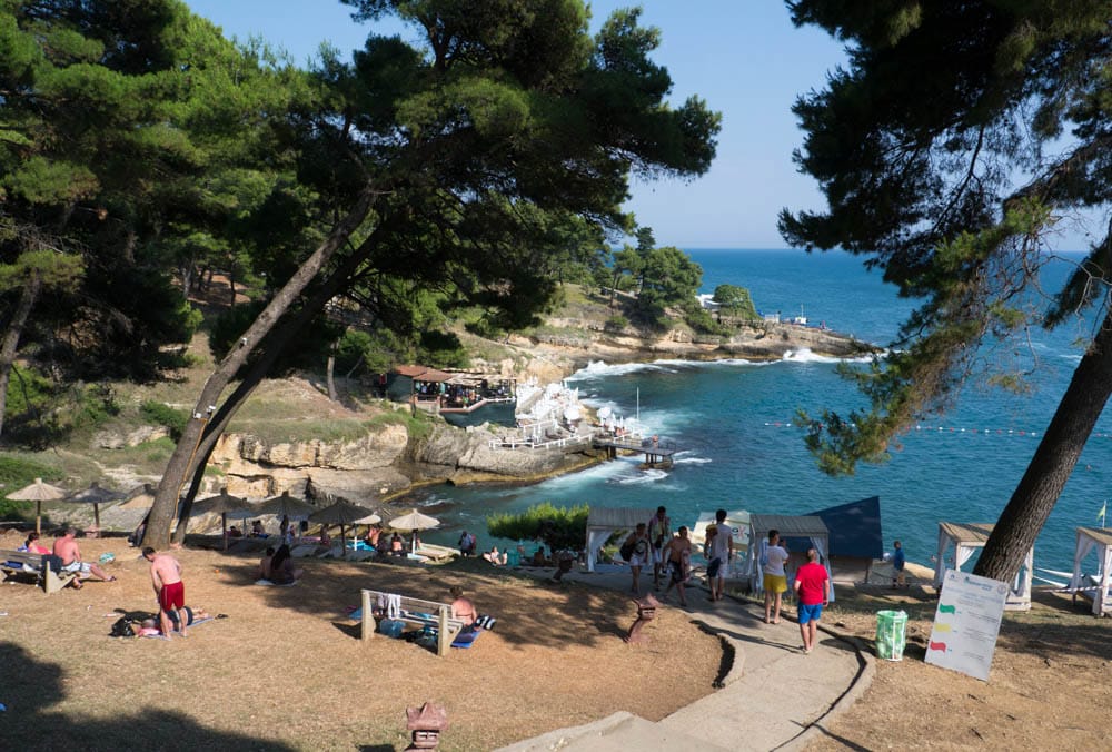 Plaže u borovoj šumi - Kofer